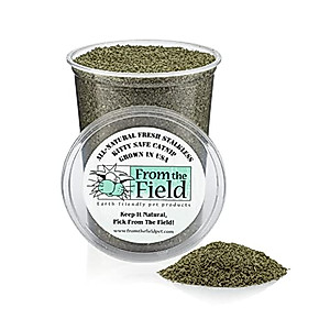 From The Field 6-Ounce Catnip Kitty Safe Stalkless Tub