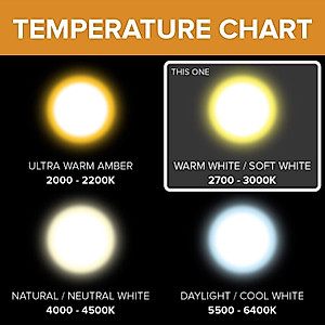 10 Pack CRYSTAL CLEAR LENSE 10 Watt AC DC 12V Capsule T3 Light Bulb Replacement JC G4 2 Pin Base Halogen Kitchen Table Pendant Lamp 12 Volt 10W Bi-Pin Warm Clear Bright White Landscape Desk Lighting