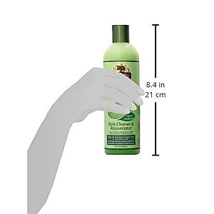 OKAY GREEN TEA NOURISHING ANTIOXIDANT RICH SHAMPOO 12oz / 355ml