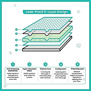 Paul Frank - Puppy Pads Pee Pads for Dogs Potty Training Dog Pads Odor Absorber Pee Pad Holder Pads for Dogs Urine Leak Proof Gel Pad Super Absorbent Pads Disposable