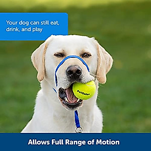 PetSafe Gentle Leader No-Pull Dog Headcollar - The Ultimate Solution to Pulling - Redirects Your Dog's Pulling For Easier Walks - Helps You Regain Control - Medium , Black