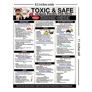 TLC Safety By Design Premium 8.5” x 11” Magnet Toxic Harmful and Safe Foods for Pets Fridge Safety Dogs Cats Poison Emergency Large Format Veterinarian Approved (Qty. 1)