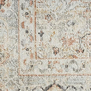 Nourison Oushak Home Traditional Light Grey 8' x 9'10" Area -Rug, Easy -Cleaning, Non Shedding, Bed Room, Living Room, Dining Room, Kitchen (8x10)
