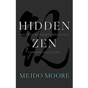 Hidden Zen: Practices for Sudden Awakening and Embodied Realization