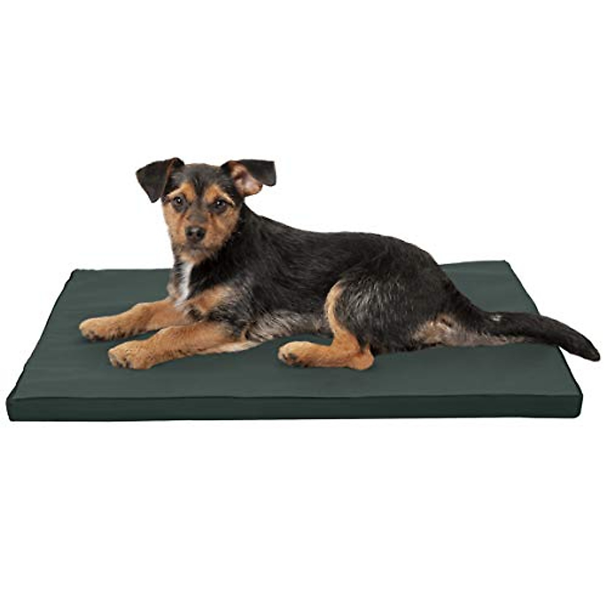 Furhaven Small Dog Bed Water-Resistant Two-Tone Kennel & Crate Pad w/ Removable Washable Cover - Green/Gray, Small