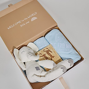 ELE Friend Newborn gift set 0-6 months – Unisex clothes for Newborn, Unisex baby gift set, Gift basket includes Cute Soft white Elephant Plush Doll, Thank You Card and giftbox (baby blue)
