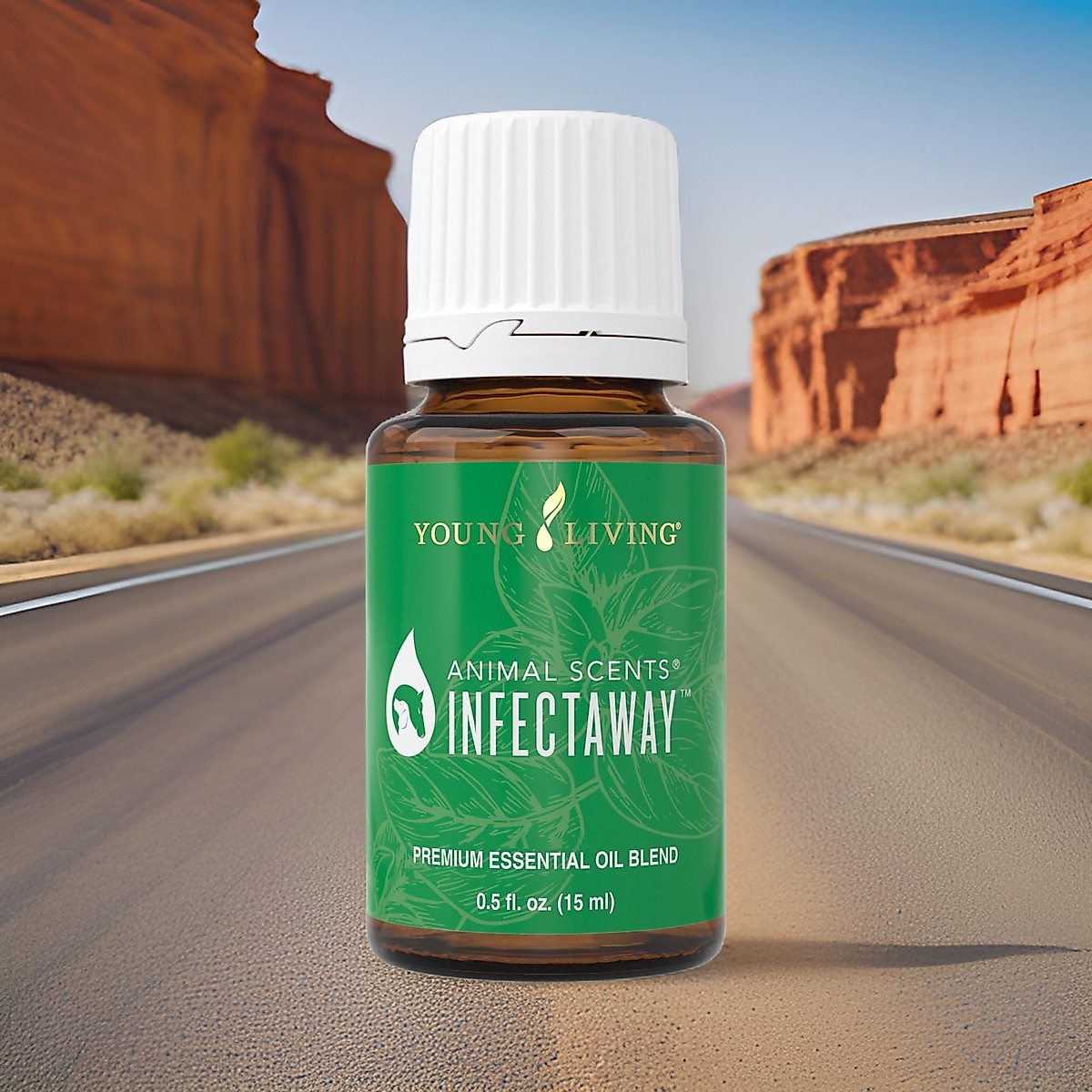 Young Living Animal Scents Infect Away, 15ml | Animal Care Essential Oils | Natural Pet Care & Wellness Support | Pet Skin Care | Prediluted Formula | Soothing & Gentle Coat Support