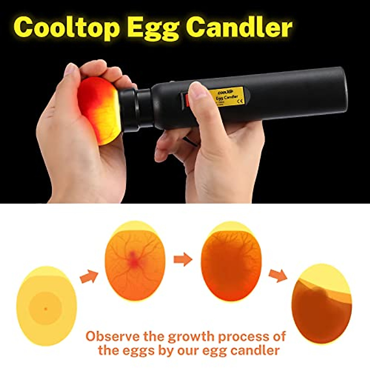 COOLTOP Rechargeable Egg Candler for Monitoring Eggs Development, Bright Cool LED Light Egg Tester for Chicken Ducks Birds Goose Incubating