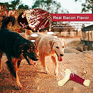 Apetpup Durable Dog Chew Toy for Aggressive Chewers, Indestructible Dog Toys, Nylon Dog Chew Toys for Small Medium Large Dogs, Vertebrae Shape Toys, Bacon Flavor