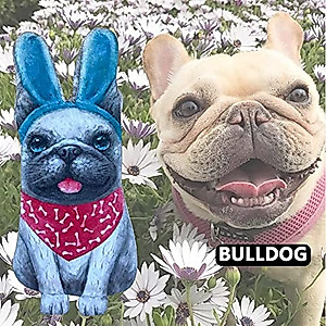 Cute Bulldog Kitchen Hand Towels: Decorative Rag with Hanging Loop for Bathroom Handkerchief Absorbent Washcloths Clearance Animal Shape Grey