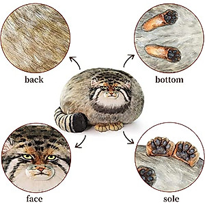 WEERSHUN Cat Plush Body Pillow, Fox Plush Pillow, Raccoon Plush Pillow, Soft and Comfortable Stuffed Animal Plush Pillow for All Ages, Great Gift Option for Boys Girls and Friends (Cat-45/18in)