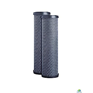 CFS – 2 Pack Carbon Water Filter Cartridges Compatible with 42-34370 Models – Remove Bad Taste & Odor – Under Sink or Countertop Application Replacement Filter Cartridge