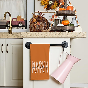 GEEORY Fall Kitchen Dish Towels Set of 2,Orange Pumpkin Eucalyptus Leaves 18x26 Inch Drying Dishcloth,Farmhouse Home Decoration GD155