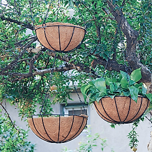EIMQUVW 4 Pack Hanging Planter Basket with Coco Coin Liner 8 inch Hanging Flower Pots Outdoor Decorative Round Wire Plant Holder with Chain Metal Hanging Baskets for Plants Outdoor