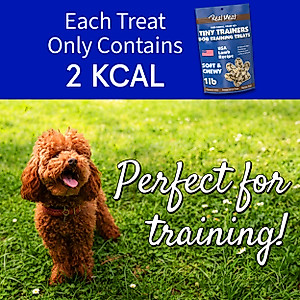 Real Meat Tiny Trainer Bites Dog Treats - 1lb of USA-Made Soft & Chewy Air-Dried Lamb Training Treats for Dogs & Puppies - All-Natural Grain-Free Dog Training Treats with Free-Range Grass-Fed Lamb