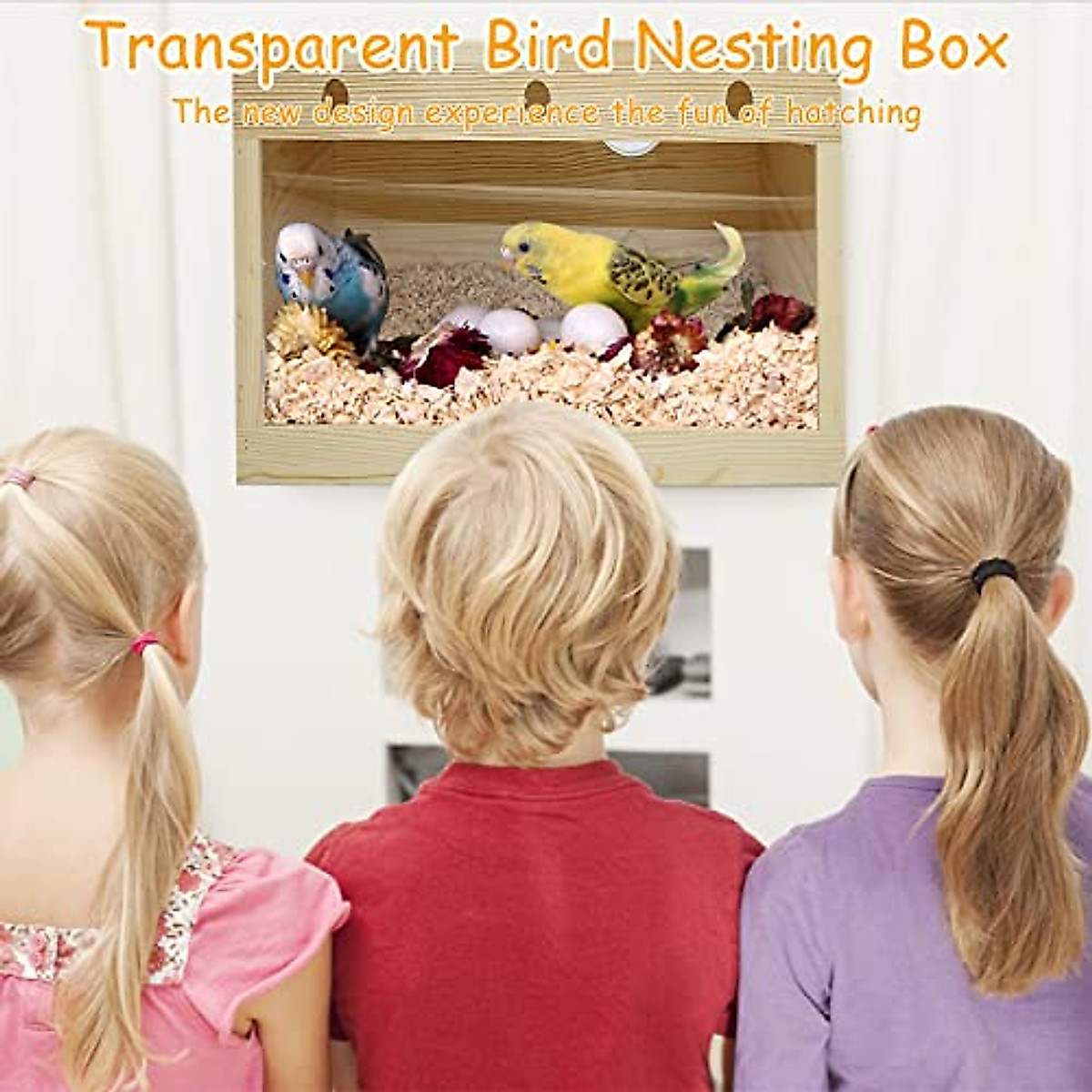 PINVNBY Natural Wood Parakeet Nesting Box Budgie Breeding Box Acrylic Bird Nest for Cage Transparent Panoramic for Parrots, Cockatiels, Lovebirds, Canaries and Other Small Birds