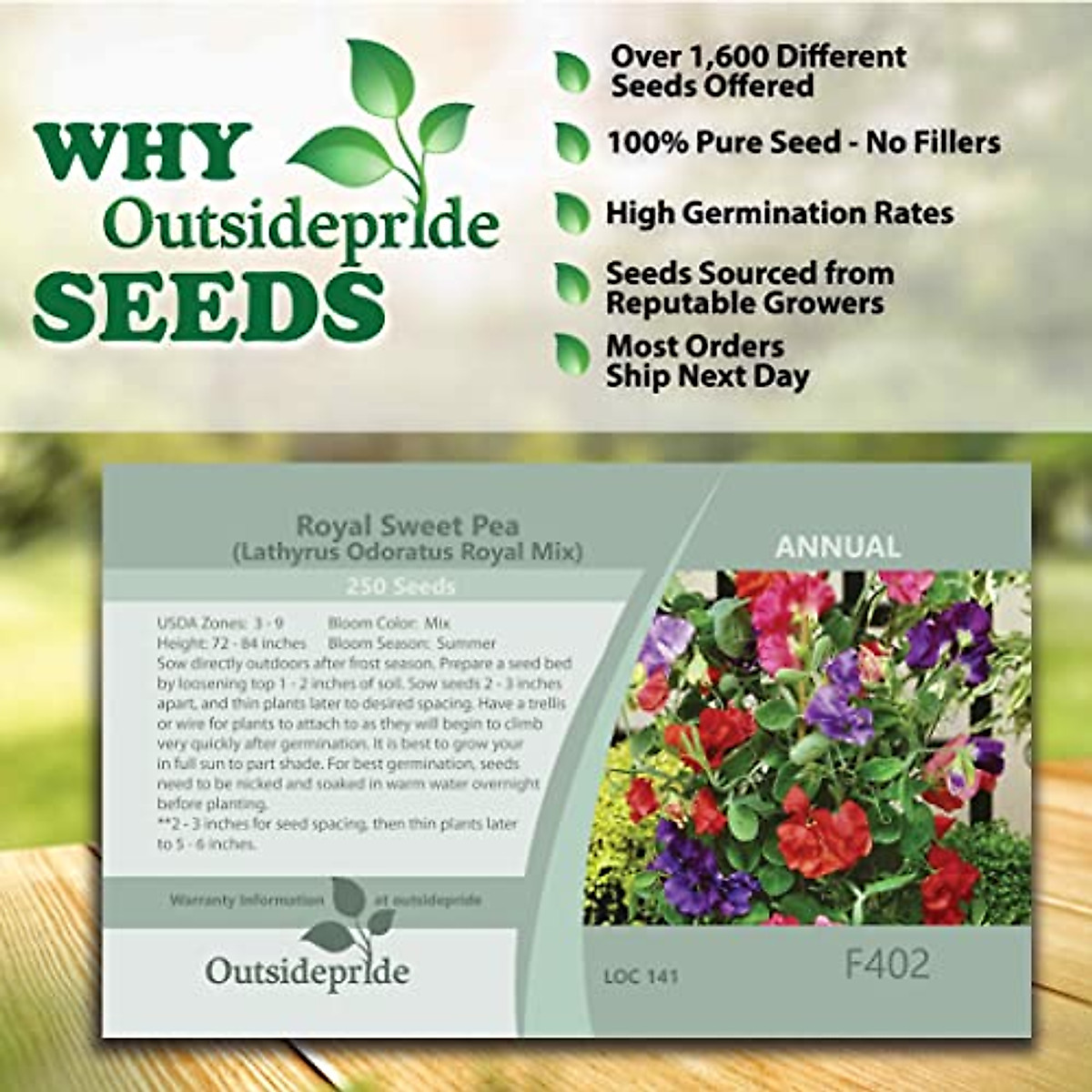 Outsidepride Fragrant Annual Lathyrus Odoratus Sweet Peas Royal Mix Climbing, Vining, Trailing Cut Flowers - 250 Seeds