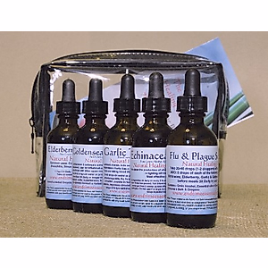 Herbal Immune Boost Tincture Kit