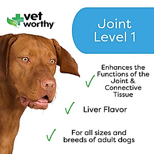 Vet Worthy Joint Support Level 1 Liver Flavored Chewable Tablet for Dogs (90 ct)