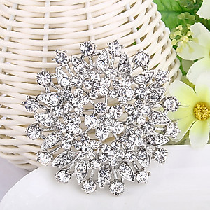 EVER FAITH Women's Austrian Crystal Elegant Flower Leaf Bridal Corsage Brooch Pin Clear Silver-Tone