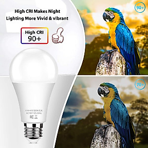 6-Pack Dusk to Dawn LED Light Bulbs, A19 11W(100Watt Equivalent), E26 Basic Automatic On/Off, 1200LM, Daylight White 5000K Smart Sensor Lights, Outdoor for Porch Garage Yard Patio Garden