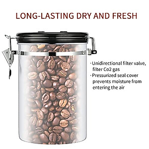 malmo Gradient Coffee Canister,Airtight Coffee Container with Date Tracker Lid, Stainless Steel Canister for Kitchen Food Storage 9oz, Copper Gradient