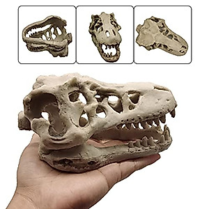 Hamiledyi Bearded Dragon Tank Accessories Reptile Dinosaur Skull Hideout Decor Reptile Climber Jungle Vines Artificial Leaves for Iguana Lizard Chameleon Snake Frog Gecko Frogs(3 PCS)