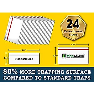 MaxGuard Window Fly Traps (24 XL Traps) Catch & Kill Houseflies, Flying Insects & Bugs. Non-Toxic Sticky Glue Traps Fly Killer Clear Strip Insect Catcher Safe No Zapping with Zapper |