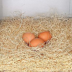 Rural365 Chicken Nest Box Liners 12 Pack - Chicken Coop Bedding, Poultry Supplies Chicken Bedding Nest Liners Chickens