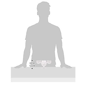 Spoontiques - National Lampoon’s Christmas Vacation Acrylic Moose Cup - Griswold Moose Mug - 4.5” - 6 Ounce,Clear