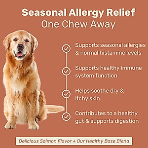 Canine Keeps Dog Allergy Chews - Itch Relief for Dogs – Omega 3 Salmon Fish Oil, Probiotics & Quercetin - Immune Support & Dog Allergy Relief Chews – Digestion + Skin & Coat Health - 90 Ct.