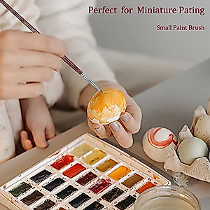 Sable Brushes for Miniatures, 000 Small Paint Brush, Golden Maple Kolinsky Sable Brushes Detail Paint Brushes Model Thin Paint Brushes For Miniature Painting Watercolor Painting,Warhammer 40k Painting