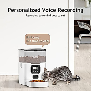 VOLUAS Cat Dry Food Dispenser with Timer, Automatic Cat Feeders with Desiccant Bag, Programmable Portion Size Control 4 Meals Per Day, 10s Voice Recorder