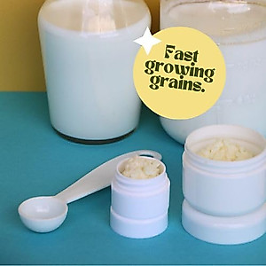 Simply Life Probiotics Milk Kefir Grains,Turkish Strain, Pajaritos de Leche, Bulgaros, Homemade Kefir, Live Probiotics