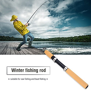 Telescopic Fishing Rod, Ice Fishing Rod Outdoor Portable Winter Fishing Rod Carbon Fiber Retractable Mini Fishing Pole Tackle