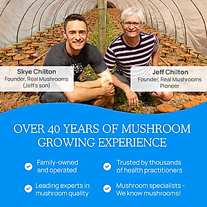 Daily Dawg Mushroom Extract Powder Support - (2.65 oz) Bulk Mushroom Powder Supplement & Dog Vitamins with Real Mushrooms Lion's Mane, Cordyceps Mushroom, Turkey Tail, Reishi & Shiitake