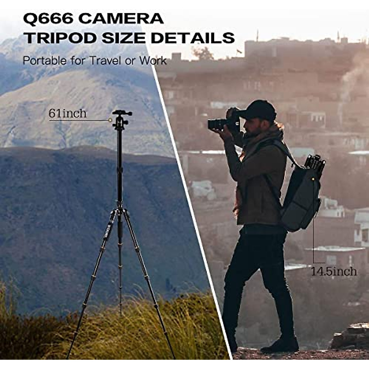 ZOMEi Camera Tripod 62" Light Weight DSLR Tripod with Ball Head Quick Release Plate and Carrying Case (Aluminum Tripod)