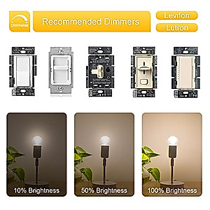 Dimmable A15 LED Bulb, 2W E26 Globe Light Bulbs, 25 Watt Incandescent Bulb Equivalent, 3000K Soft Warm White, Clear Glass, Small Round Filament Bulbs for Ceiling Fans, Bathroom Vanity, 6 Pack