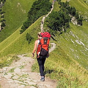 Hydro Energy [6-Pack 9.5-Inch] Replacement Straws for Hydro Flask Wide Mouth Water Bottle, 6 Straws and a 2 Straws Brushes Included