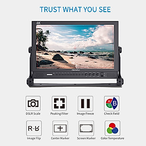 FEELWORLD P173-9HSD 17.3" Broadcast Director Production LCD Monitor with 3G SDI HDMI YPbPr Input Output Aluminum Design 1920×1080