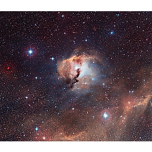 HS-46 Segull Nebula Star disc for The Homestar Flux