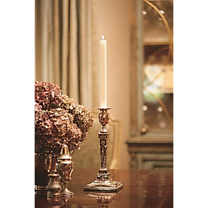 Root Candles Unscented Arista Timberline 9-Inch Dinner Candles, 12-Count, Ivory