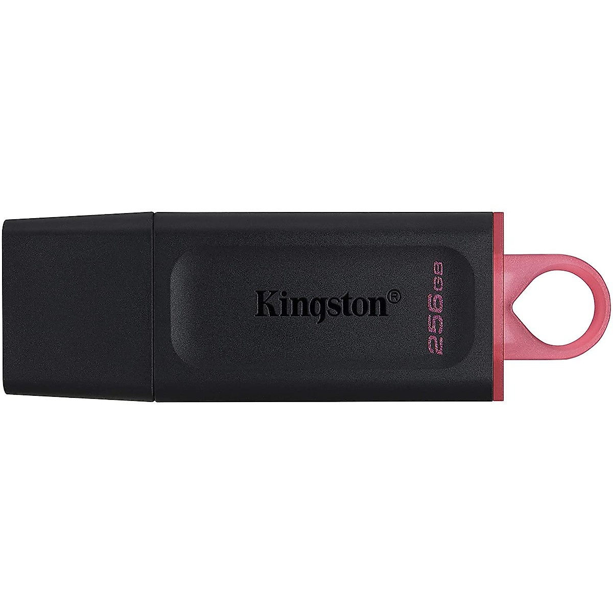 Kingston 256GB Flash Drive DataTraveler Exodia USB 3.2 High Speed 100MB/s USB for Computer (DTX/256GB) Bundle with 1 Everything But Stromboli Lanyard