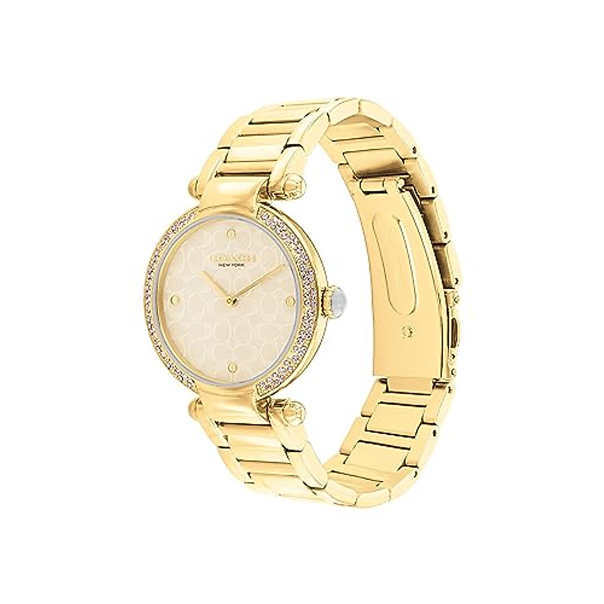 Coach Cary Women's Watch | Premium Fashion Timepiece for Her - Perfect for Day and Night | Water Resistant (Model 14504183)