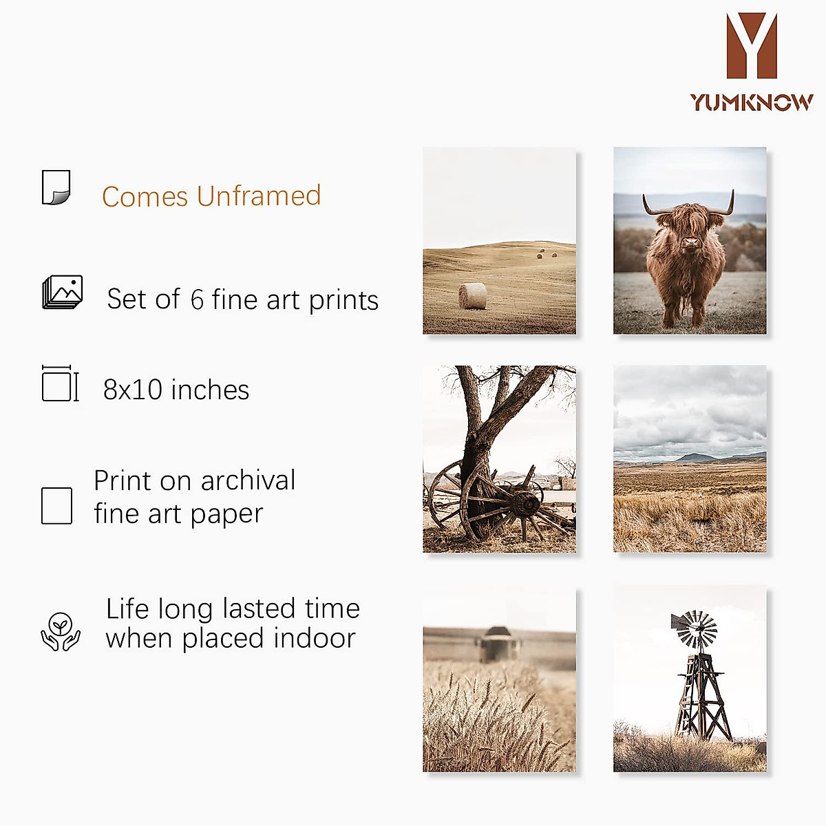 Boho Western Decor - Gift for Cowboy Men Cowgirl - Set of 6 - Highland Cow Pictures Wall Art - Southern Farm House Animal - Old West Ranch Room Decor - Country Print - Rustic Farmhouse Bathroom Poster