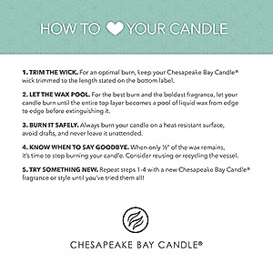 Chesapeake Bay Candle PT42074 Candle, Multi-Wick Ceramic, Sea Minerals, Home Décor