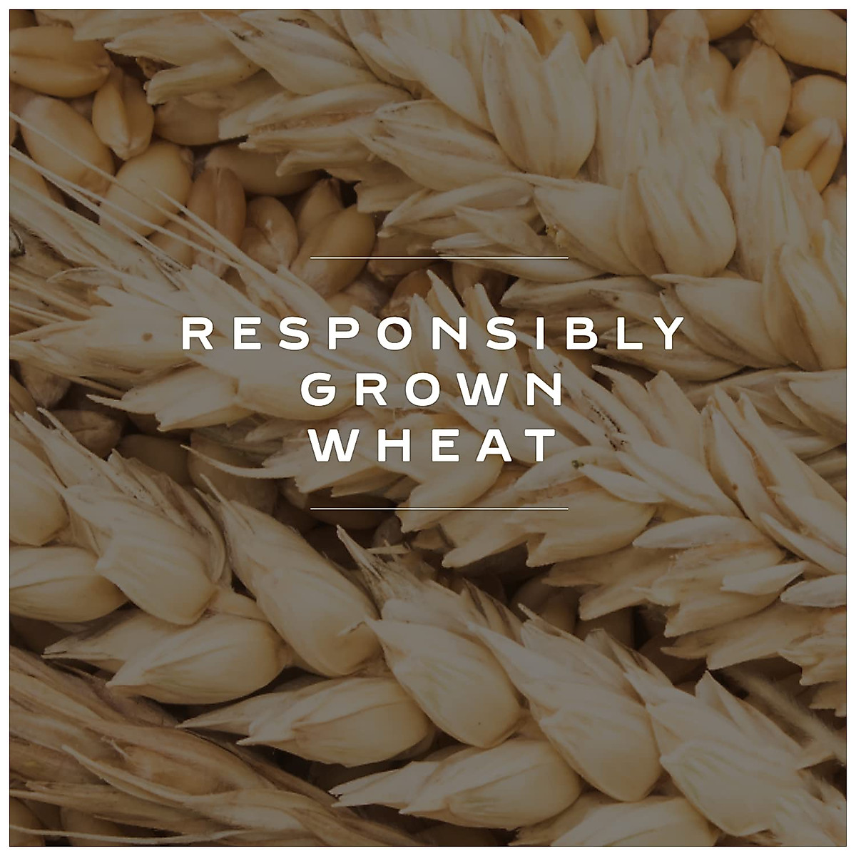 Bahlsen Delice Cookies (3 boxes) - Sweet & delicate, buttery puff pastry twists with light crispy layers - 3.5 oz boxes