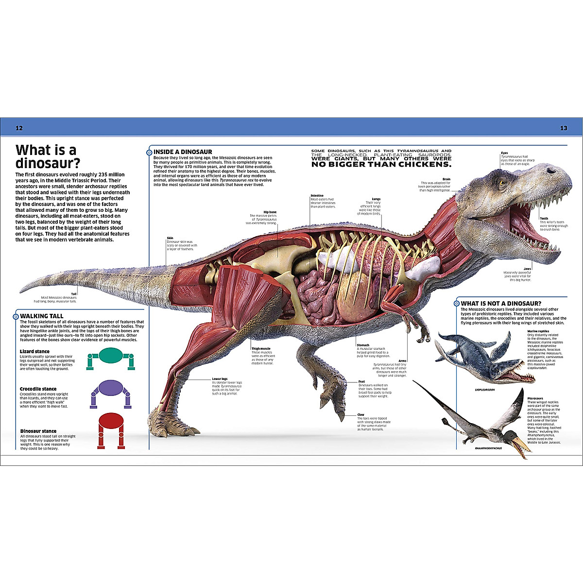 Knowledge Encyclopedia Dinosaur!: Over 60 Prehistoric Creatures as You've Never Seen Them Before (DK Knowledge Encyclopedias)