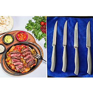 TROISHOKA Steak Knives, Razor-Sharp Steak Knives Set of 4, Stainless Steel Serrated Steak Knife, Silver Kitchen Steak Knife Set, Dishwasher Safe, Non-Stick and Rust Resistant Dinner Knives (4-PCS)