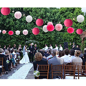 Celehappy Hanging Party Decorations Pom Tissue Paper Lantern for Weddings, Birthdays, Parties and Events Decorations, Hanging Paper Lantern Paper Tissue Flowers 10" 8" Set - Pink/White/Rose